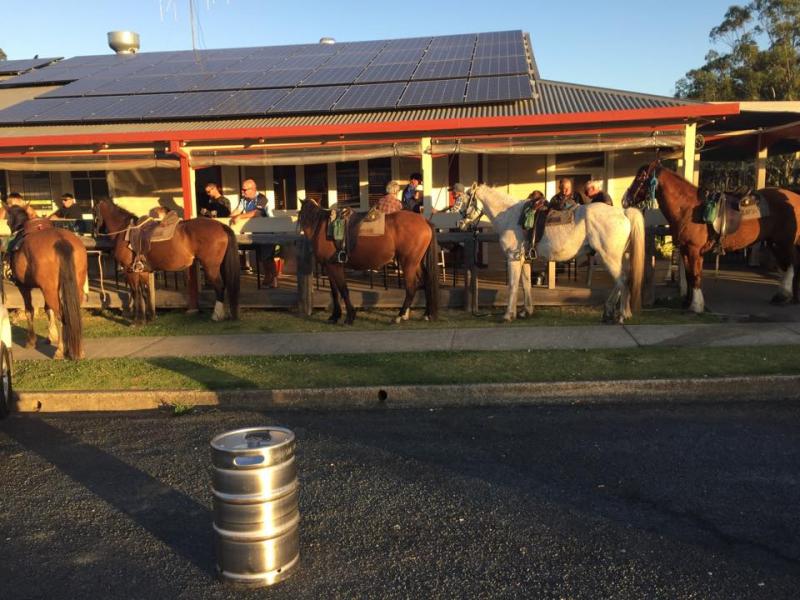 Beechwood Hotel, BEECHWOOD, NSW | Pub info @ Publocation